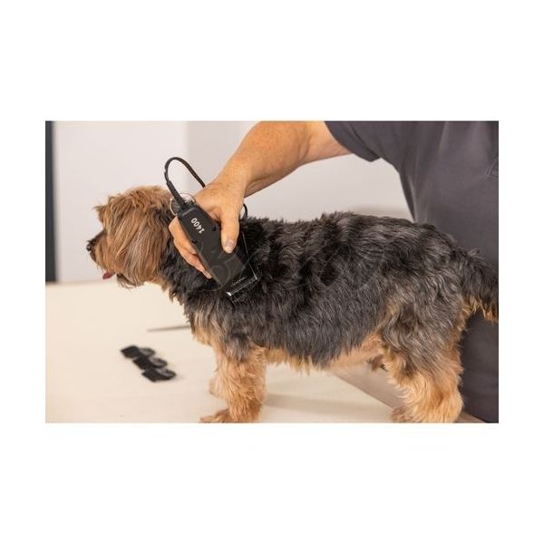 WAHL 1400 strojček na strihanie psov s nastaviteľnou čepeľou | ABC-ZOO