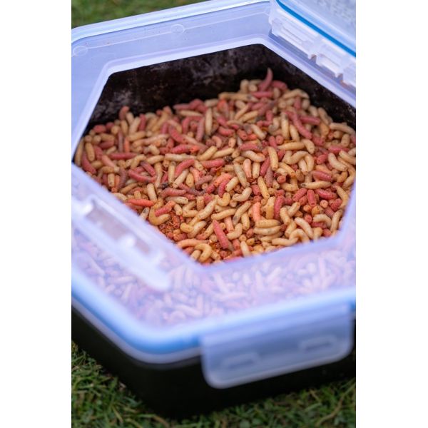 Zebco Secure-Lock Bait Box 2L | ABC-ZOO